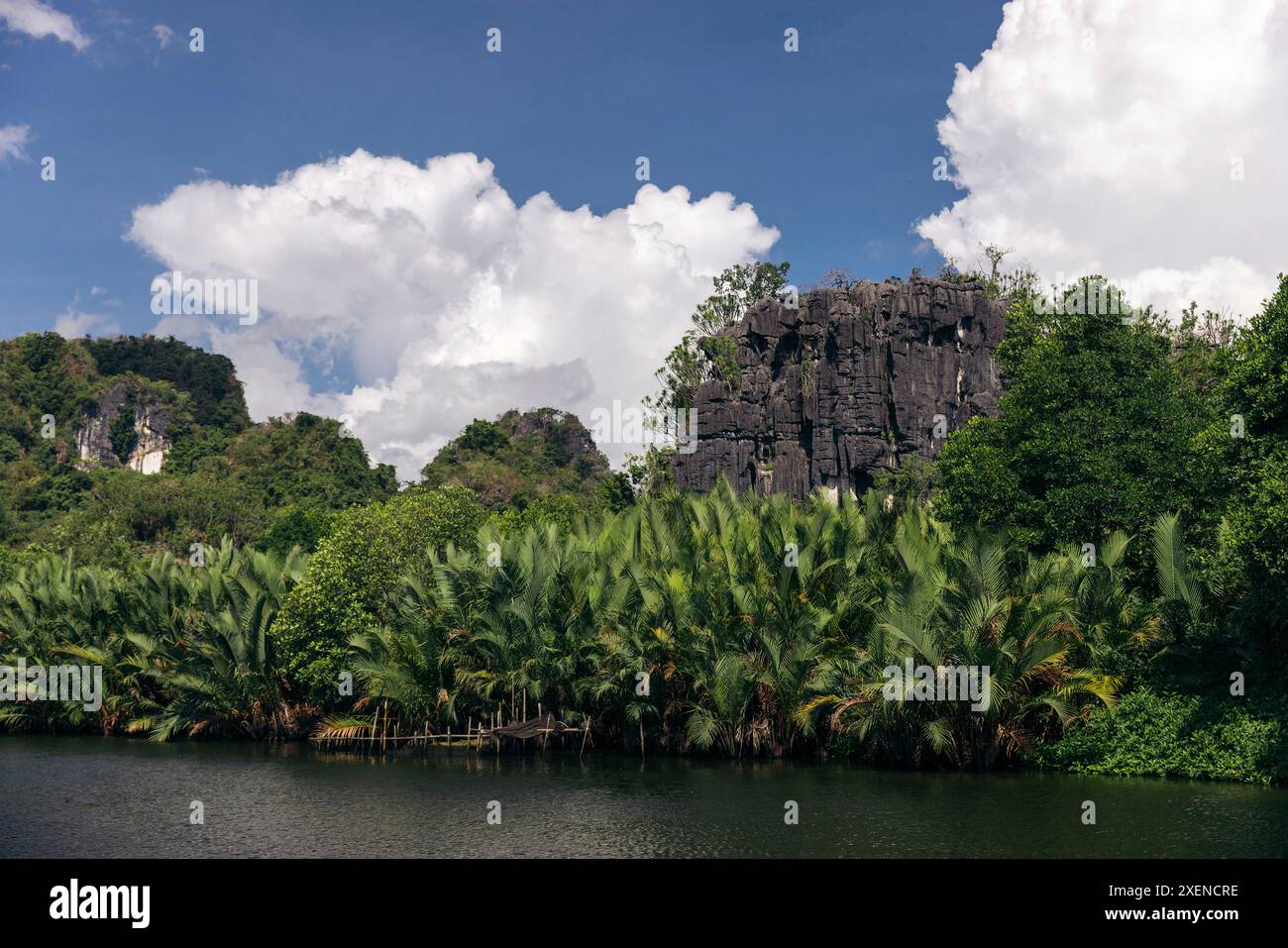 Beautiful karst limestone region with lush vegetation, Pute River and ...