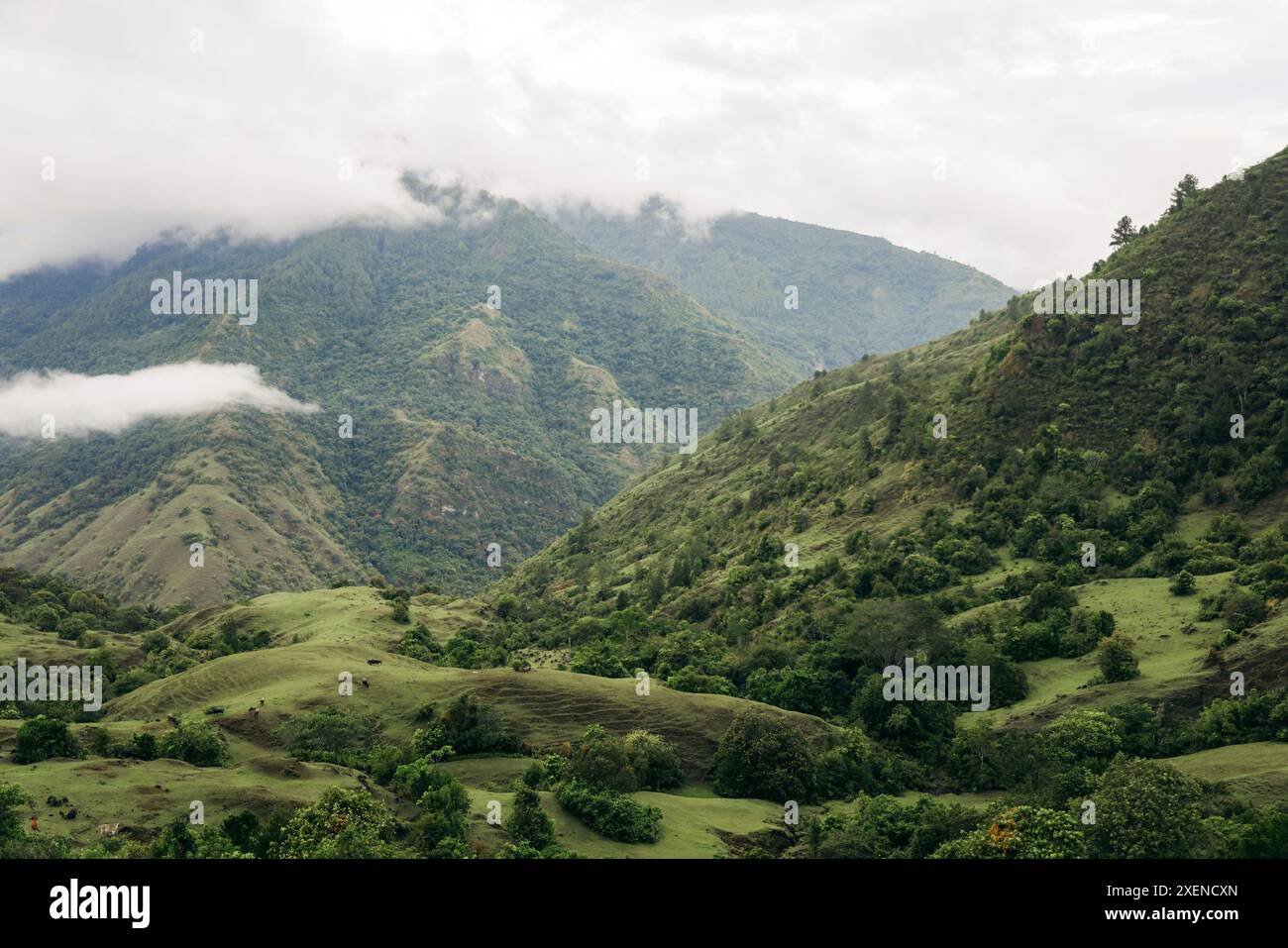 Gunung nona hi-res stock photography and images - Alamy