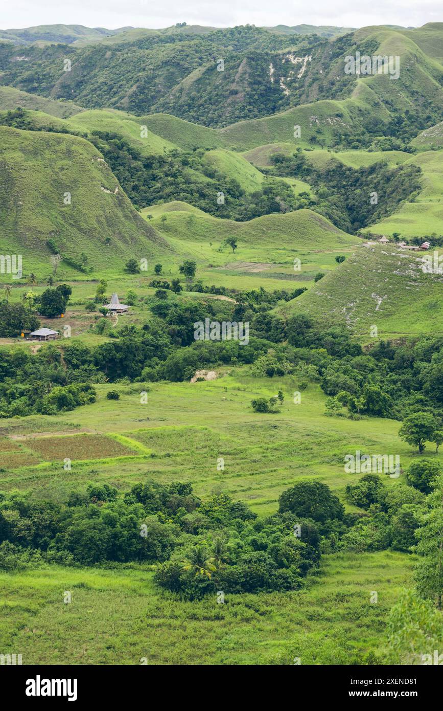 Green landscape with hills, fields and trees in Puru Kambera Savannah ...