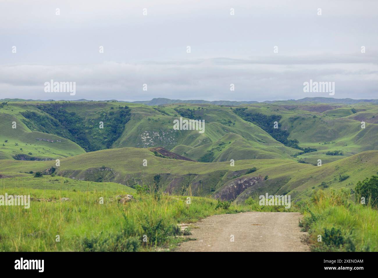 Green landscape with hills, fields and trees in Puru Kambera Savannah ...
