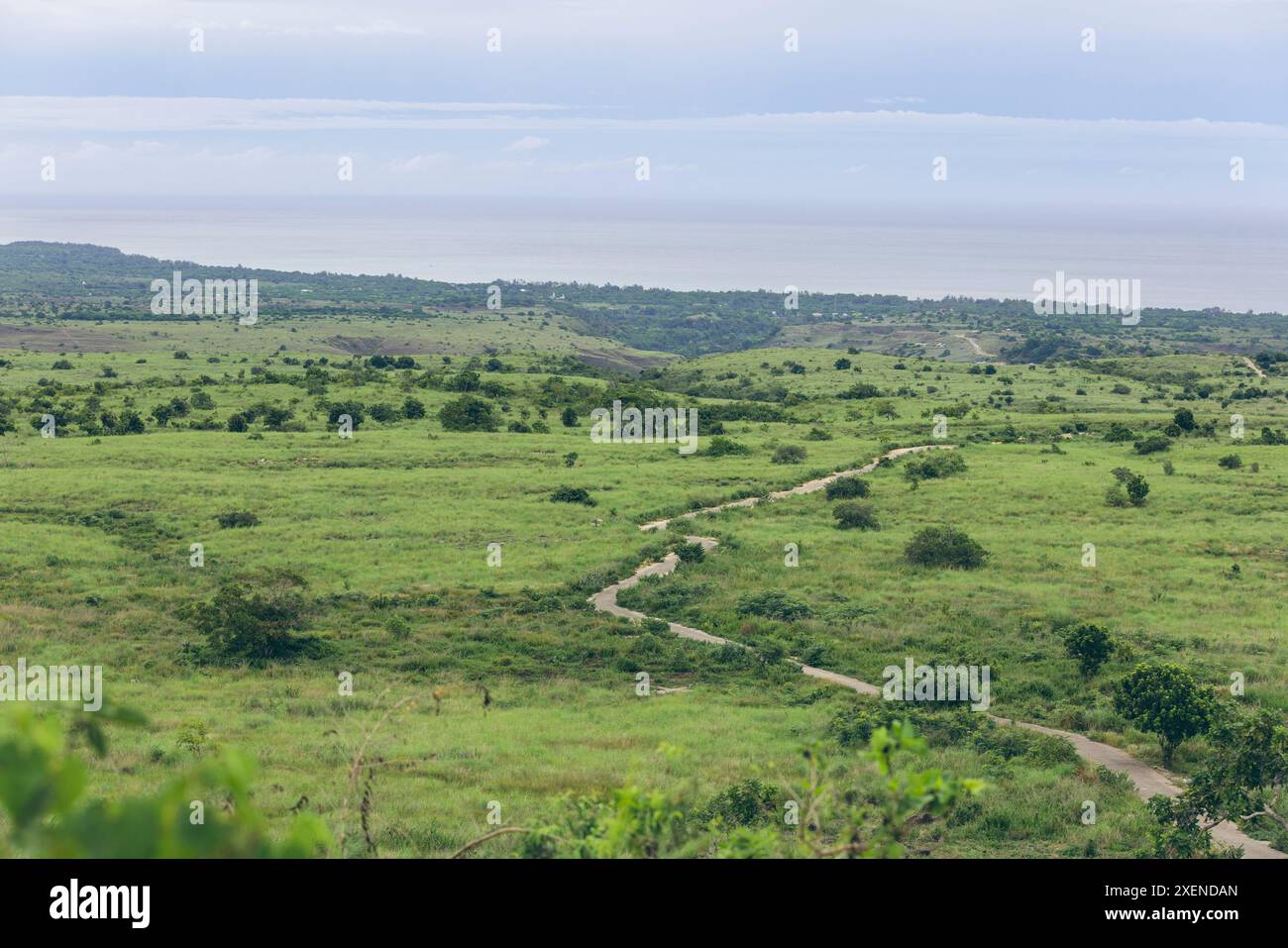 Road winding through the vast green landscape of Puru Kambera Savannah ...