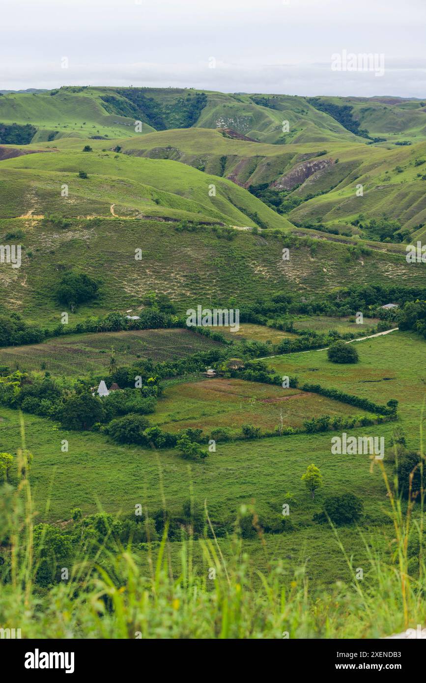 Green landscape with hills, fields and trees in Puru Kambera Savannah ...