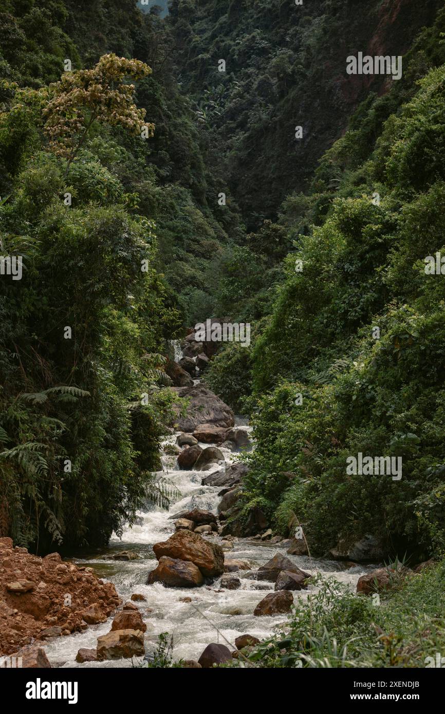 Beautiful landscape with a cascading river surrounded by lush ...