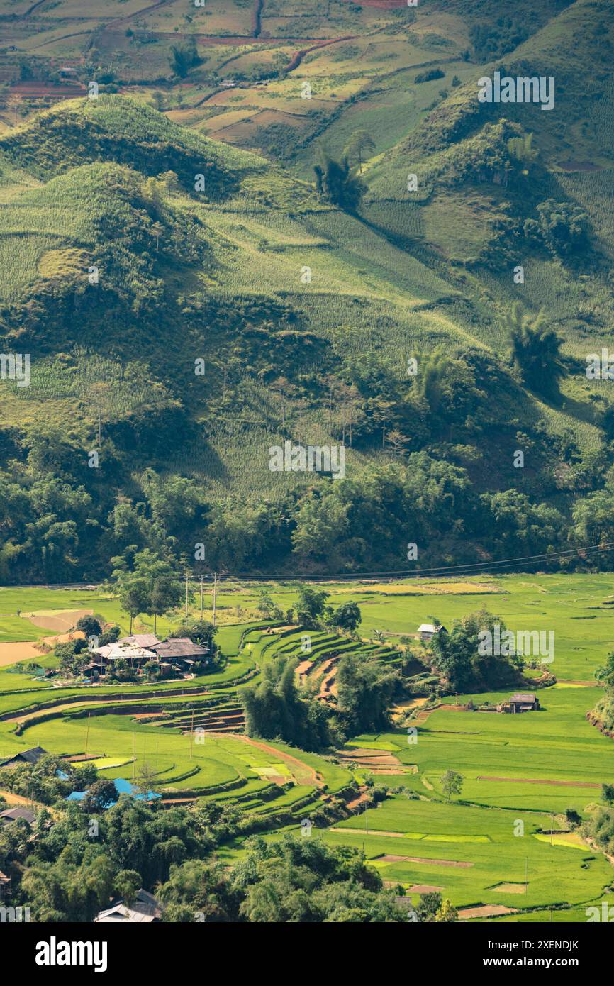 Terraced rice fields at Khau Pha Pass in Vietnam; Khau Pha Pass, Cao ...