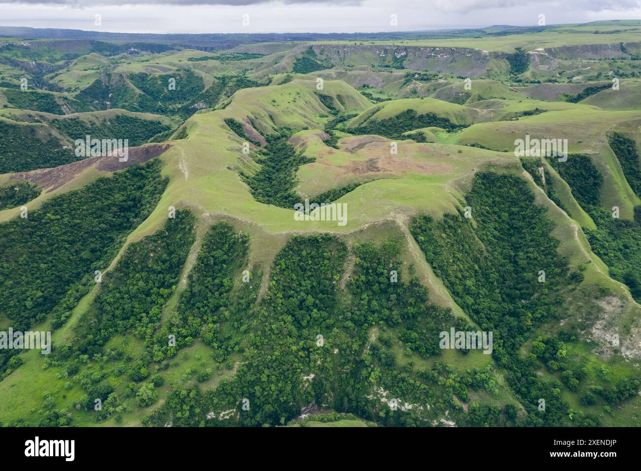 Green landscape with ridges and tree-covered slopes in Puru Kambera ...