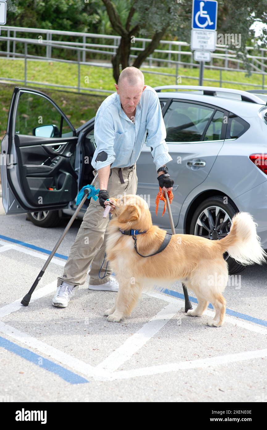 Paraplegic man with forearm crutches gets his service dog to retrieve ...