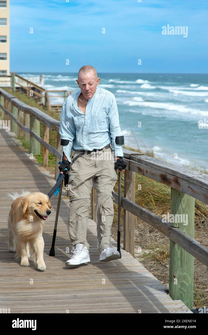 Paraplegic dog hi-res stock photography and images - Alamy