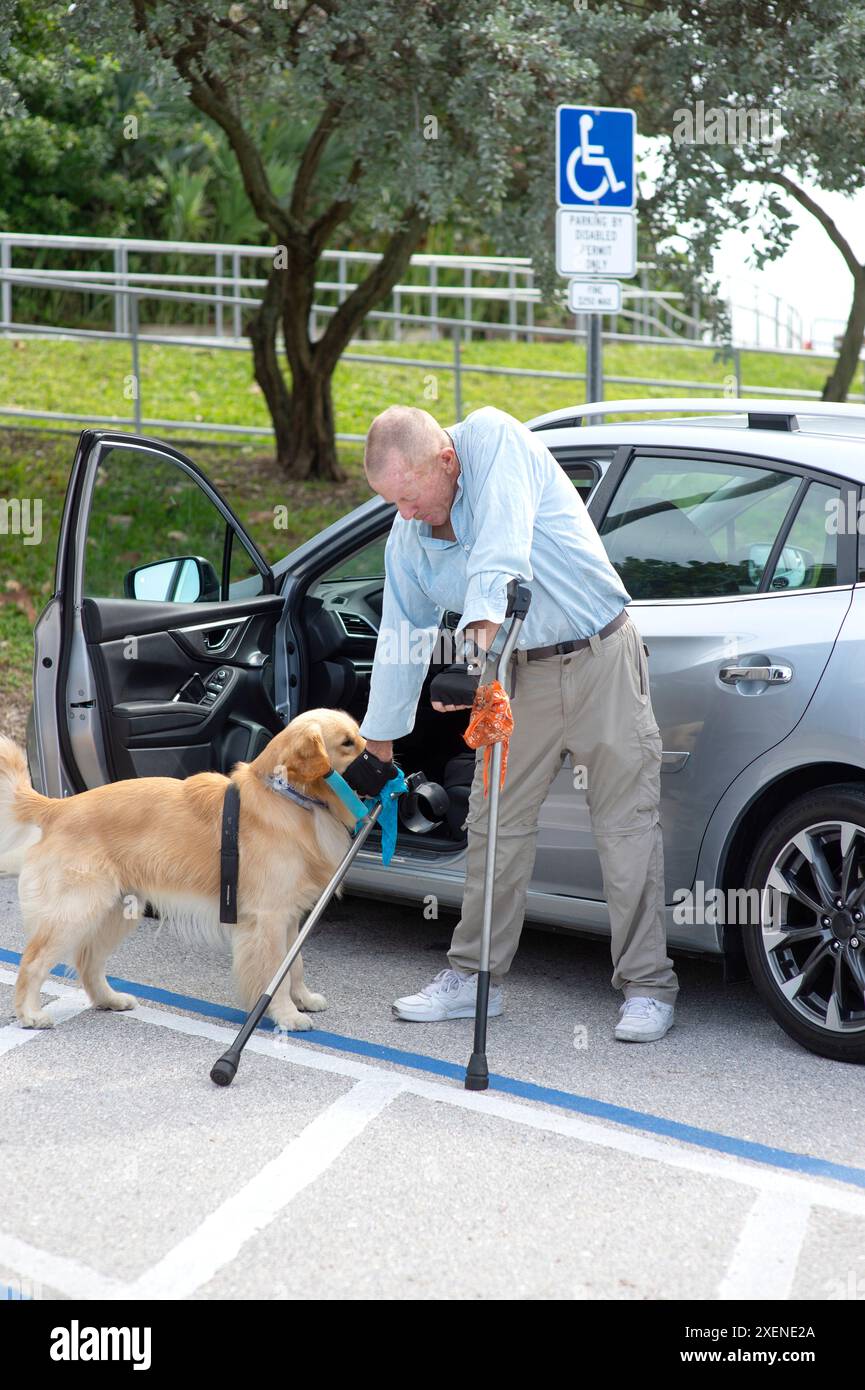 Paraplegic man with forearm crutches gets his service dog to retrieve ...
