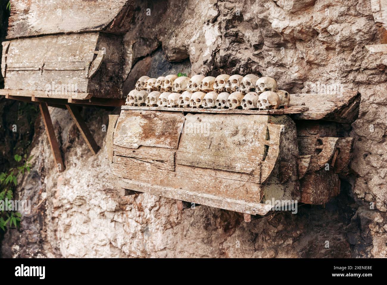 Skulls lined up in a row in the Toraja people graveyard in the Rante ...