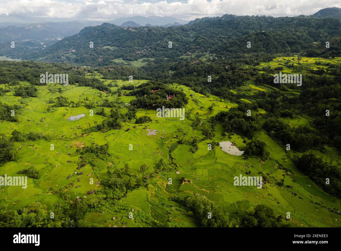 Verdant green vegetation covers the landscape in the Rante Pao area of ...