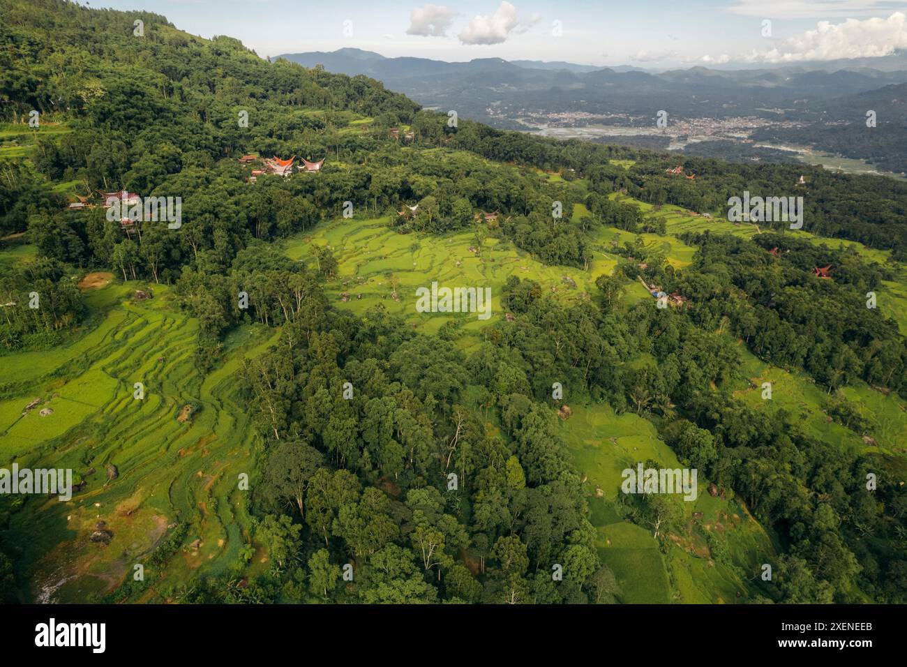 Verdant green vegetation covers the landscape in the Rante Pao area of ...