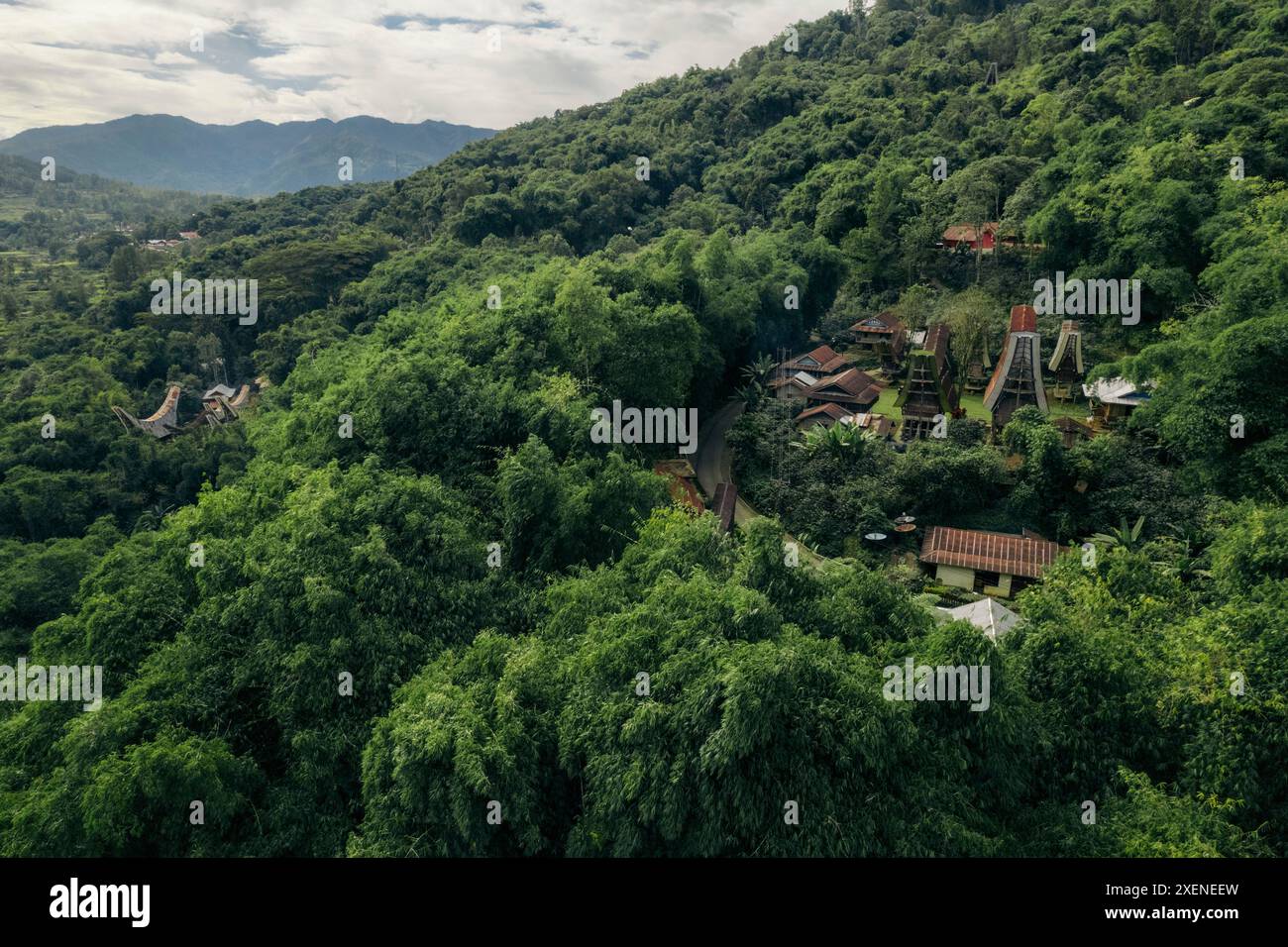 Houses on the lush hillside of the Rante Pao area of North Toraja ...