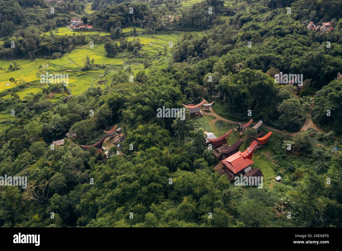 Aerial view of trees and Tongkonan, traditional ancestral houses of the ...