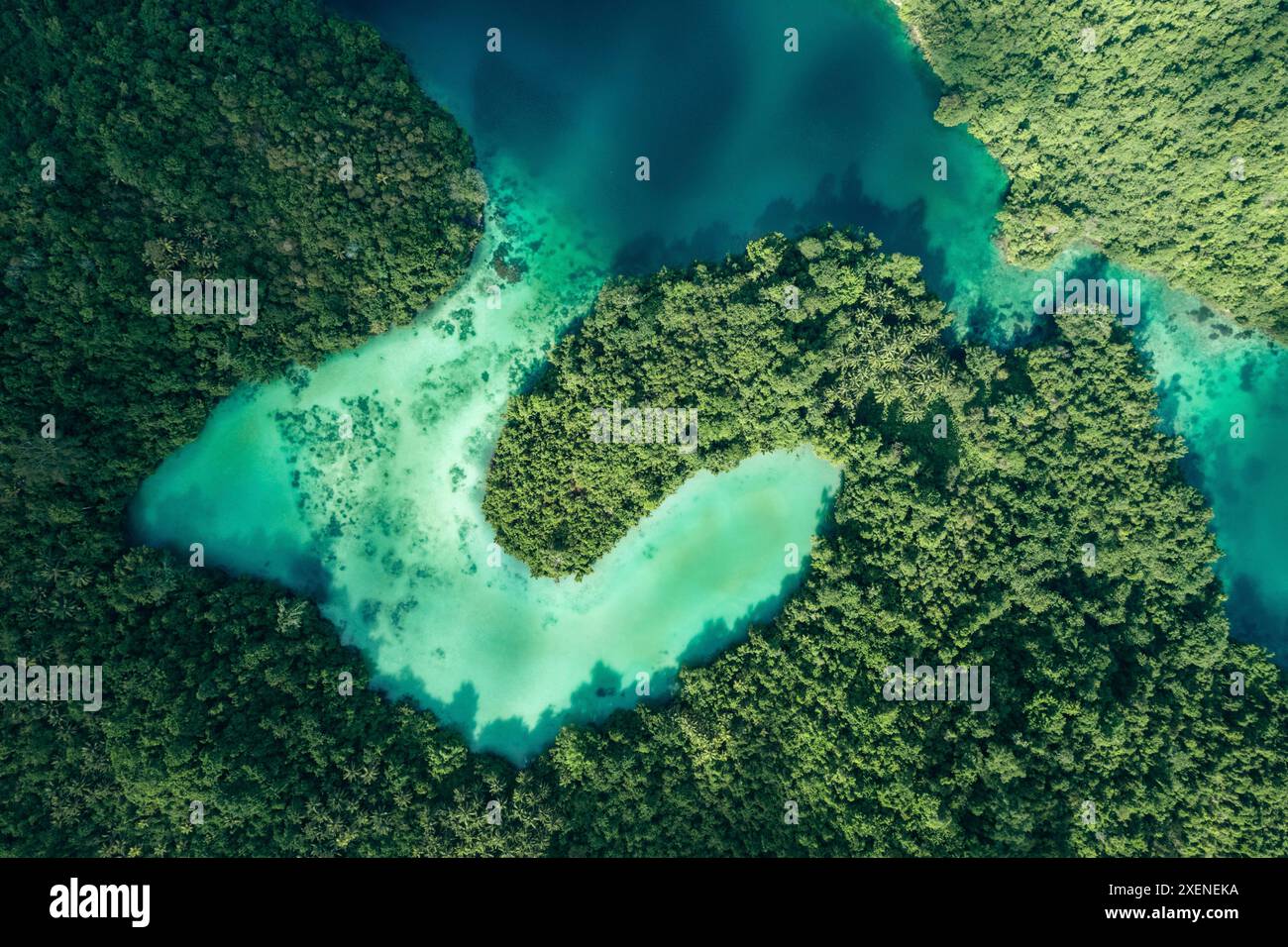 View from directly above the coastline with lush vegetation and ...