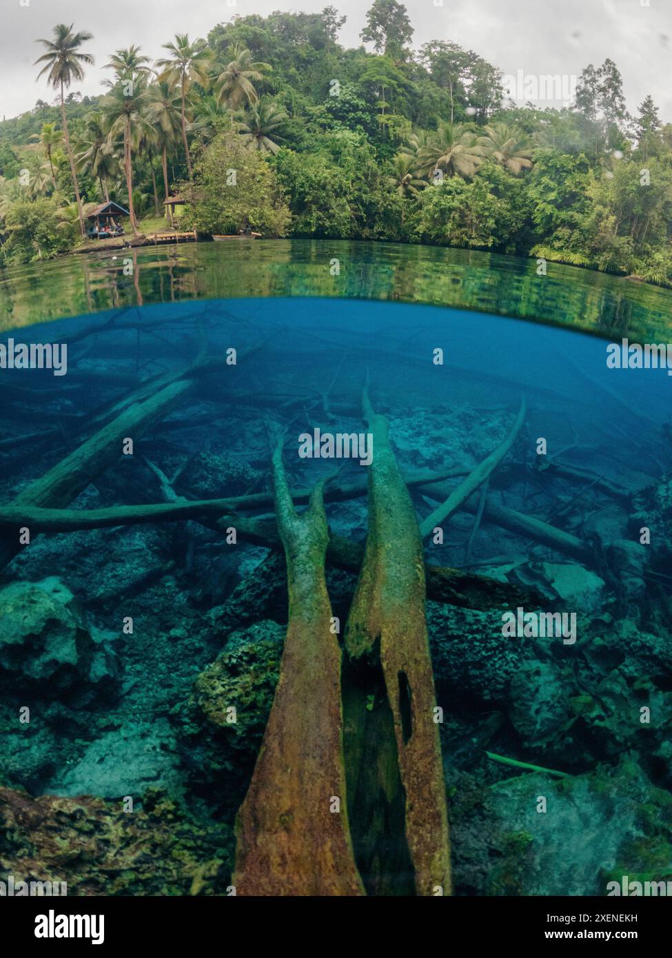 Split view of clear blue lake water and lush green vegetation at Danau ...