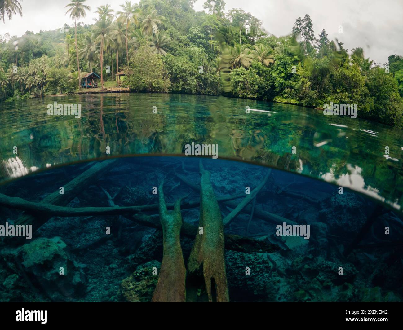 Split view of clear blue lake water and lush green vegetation at Danau ...