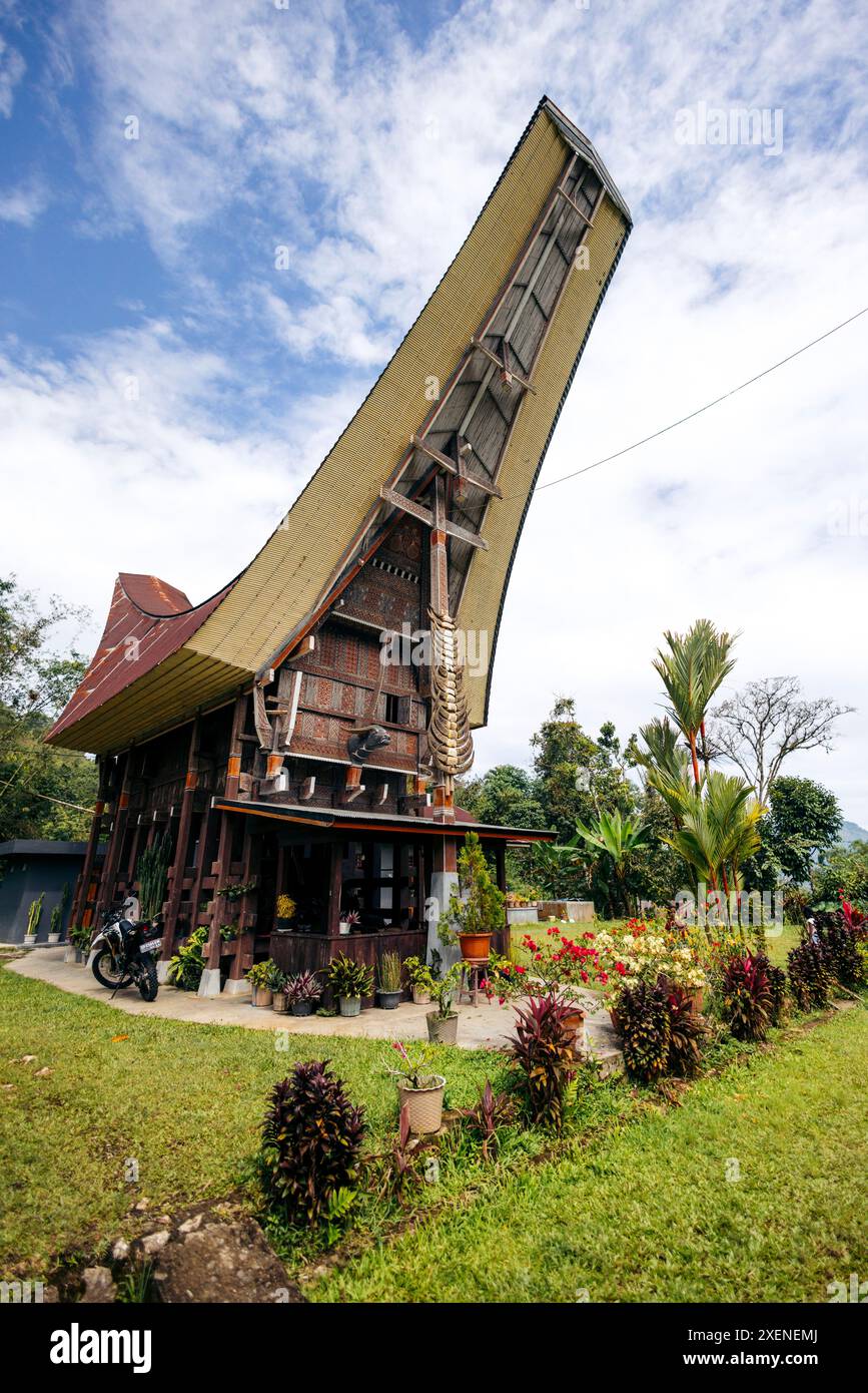 Traditional ancestral home called Tongkonan in Sulawesi, Indonesia ...