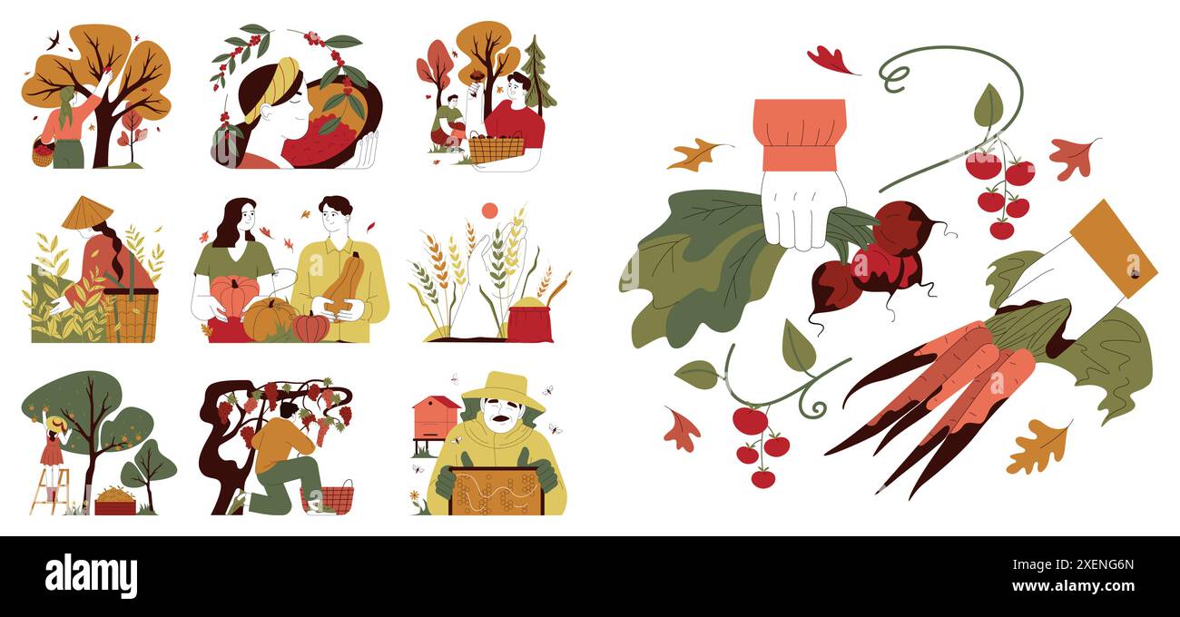 Harvesting season set. Farmers gathering or collecting ripe vegetables and fruits. Autumn ...