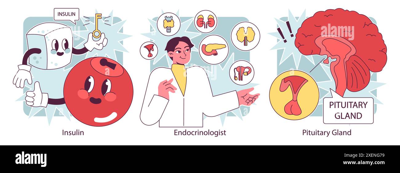Endocrine system organs and disease set. Human glands function ...