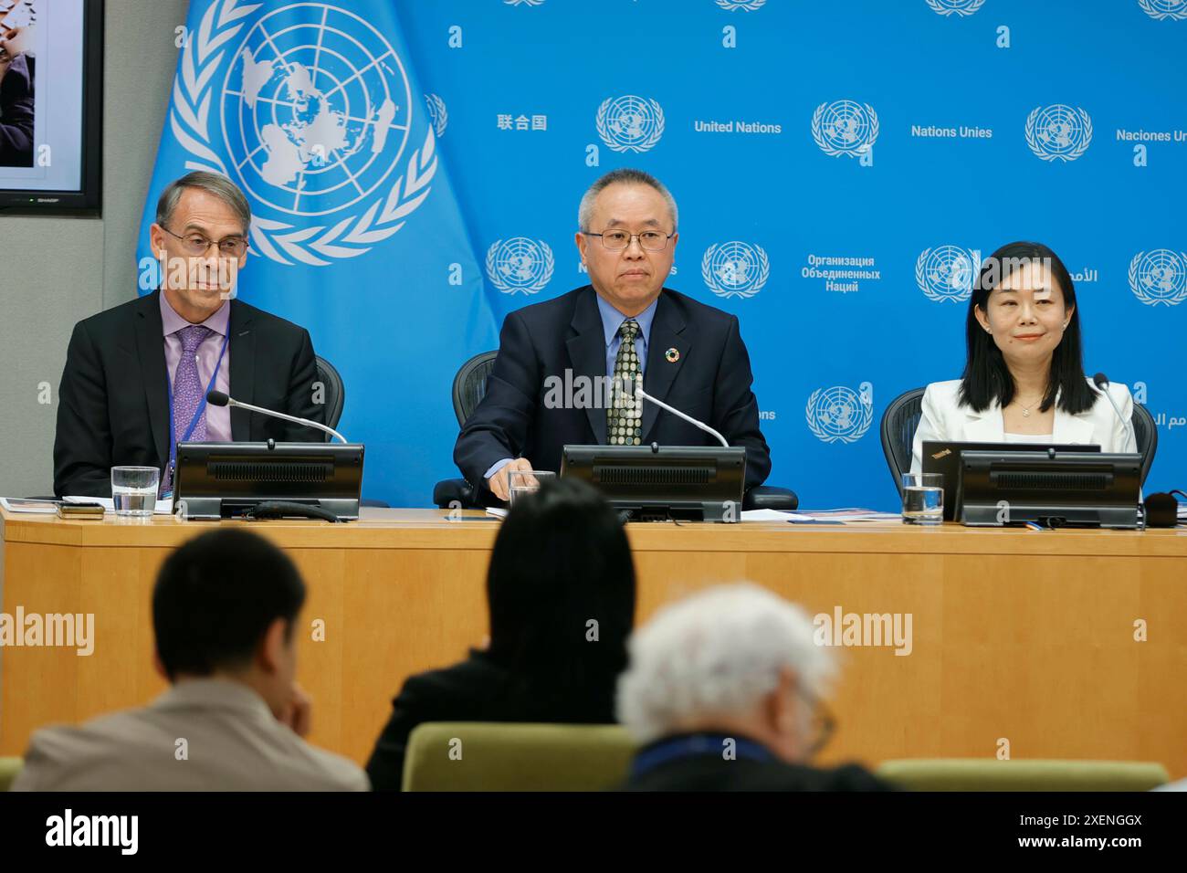 United Nations, New York, USA, June 28, 2024 - Li Junhua,(C) Under ...