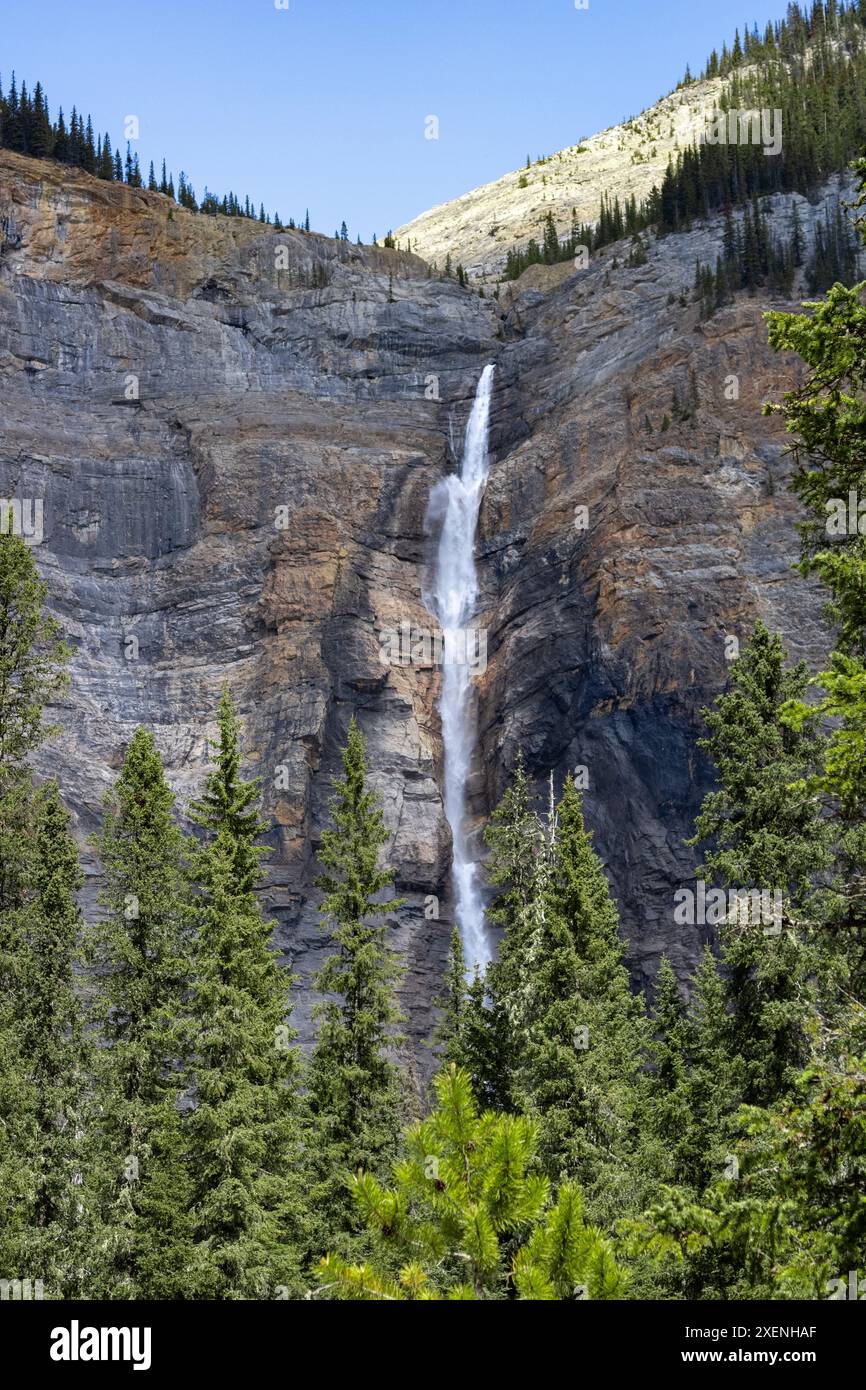 Takakkaw Falls is a waterfall in Yoho National Park Stock Photo - Alamy