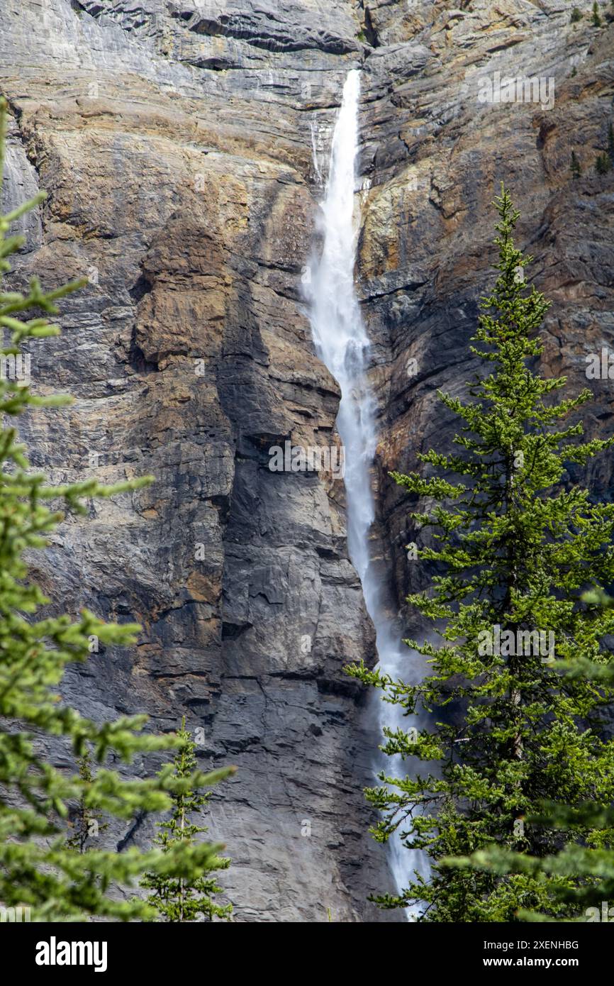 Takakkaw Falls is a waterfall in Yoho National Park Stock Photo - Alamy