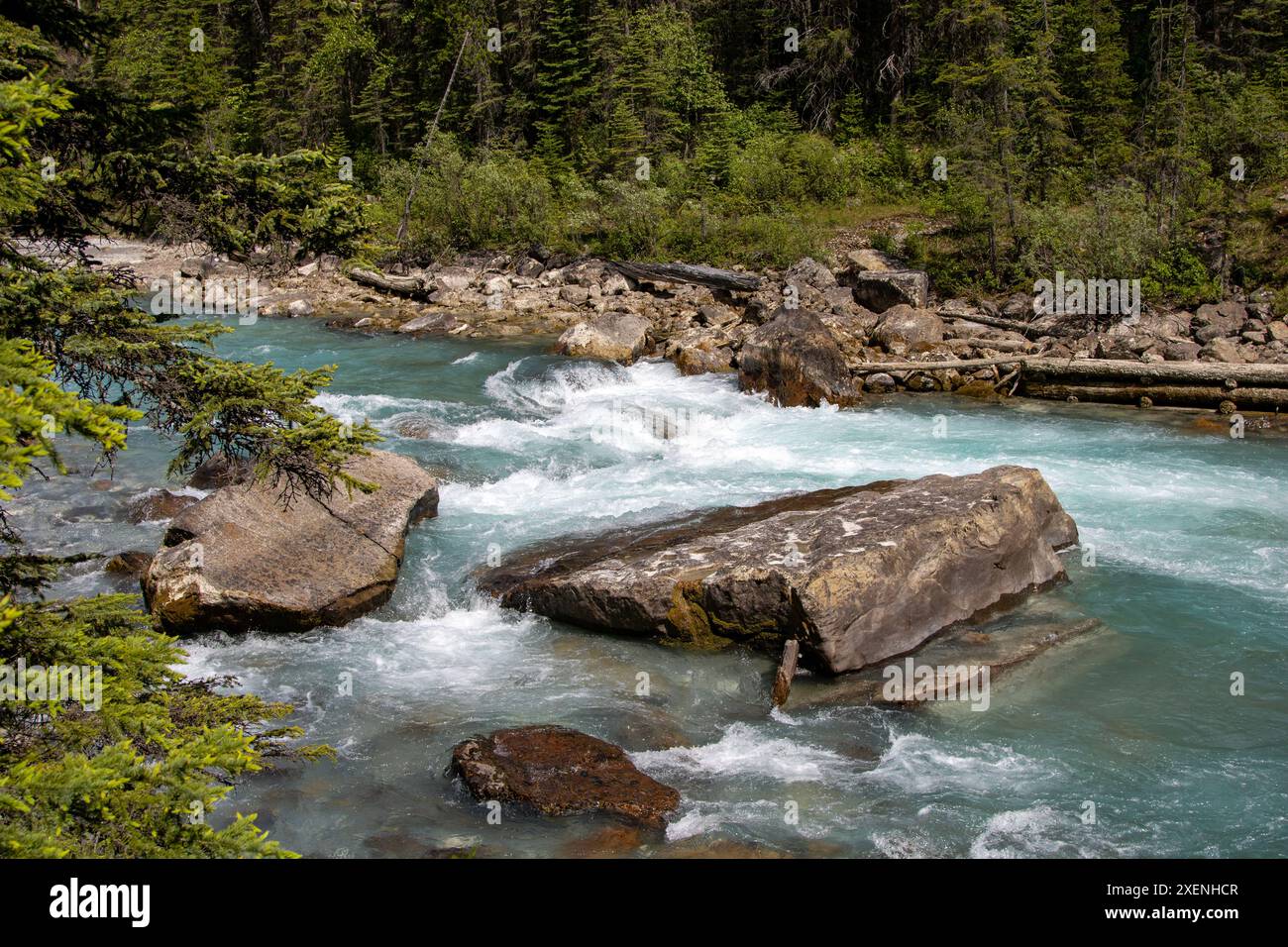 Stunning water that is in Yoho national park Stock Photo - Alamy