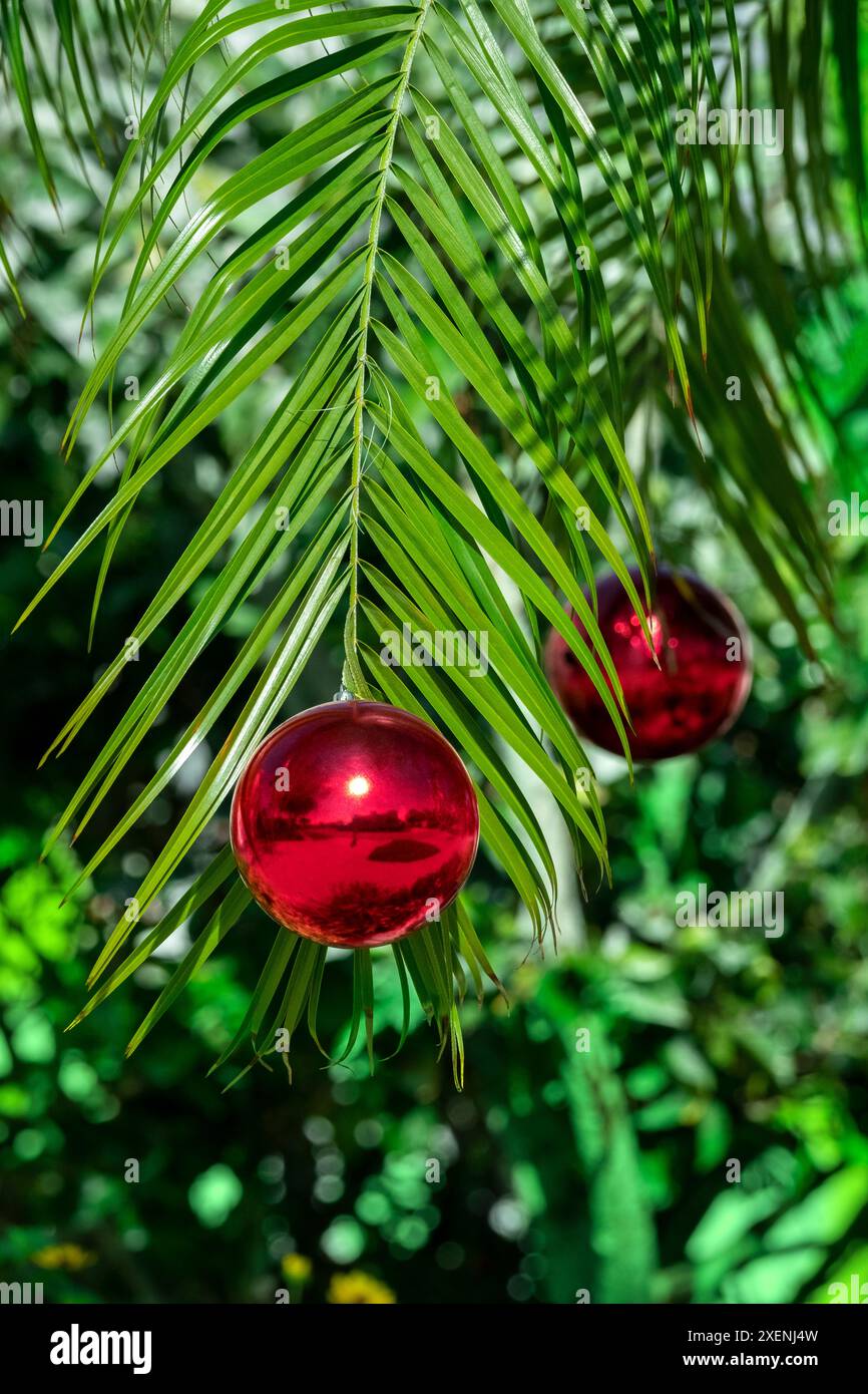 Palm tree christmas ornaments hi-res stock photography and images - Alamy