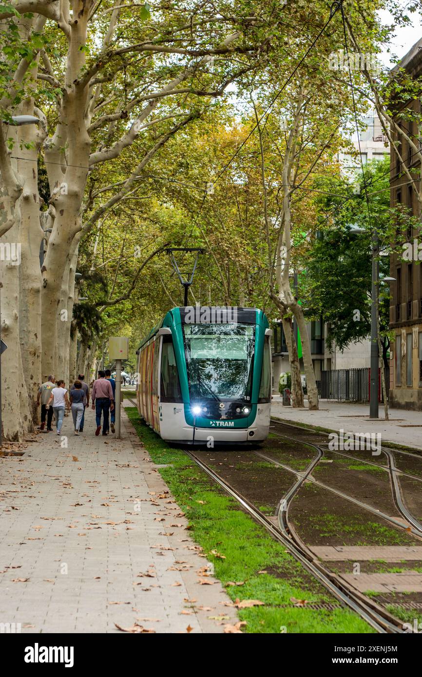 Public tram transit, barcelona, spain Stock Photo - Alamy