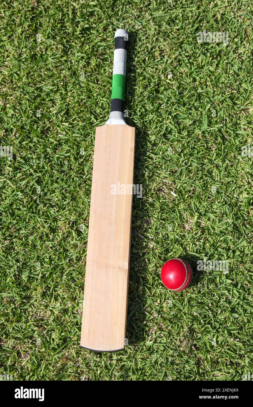 A top view shot of cricket bat and ball on lush green grass Stock Photo ...