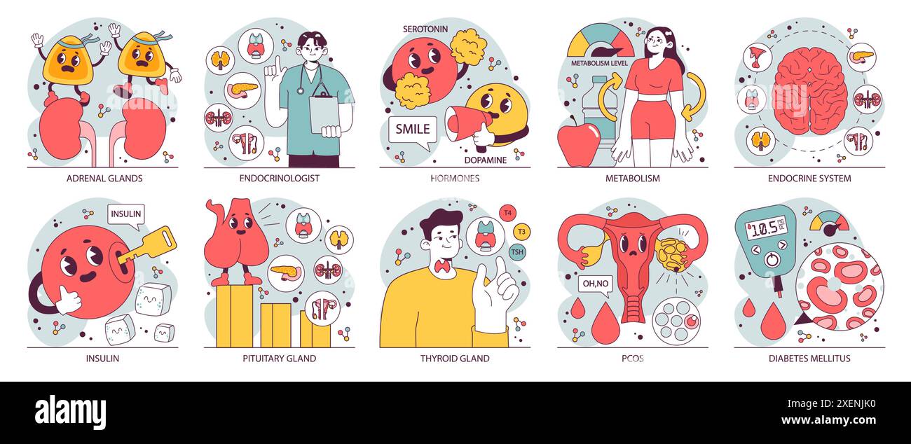 Endocrine system organs and disease set. Human glands function ...