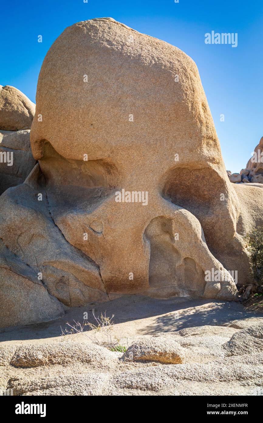 Skull and rock hi-res stock photography and images - Alamy