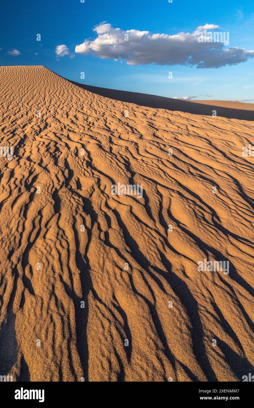 USA, California. Mojave Trails National Monument, Cadiz Dunes Stock ...