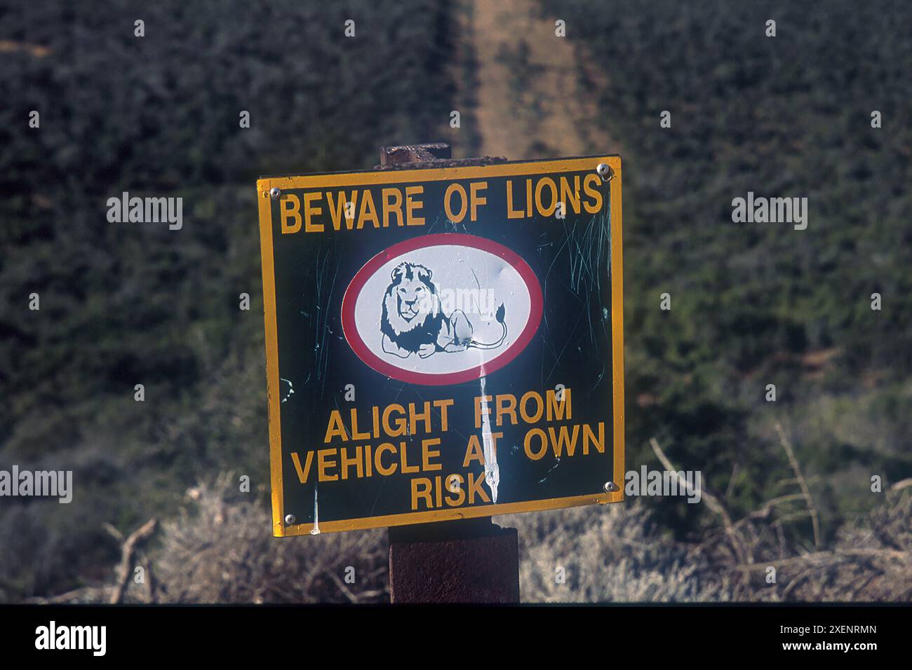 Sign warning to beware of lions, Kruger National Park, Mpumalanga ...