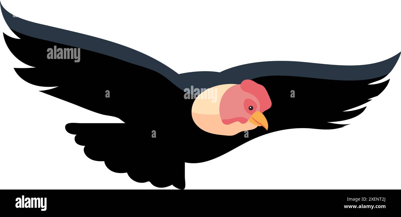 Flying condor Cut Out Stock Images & Pictures - Alamy