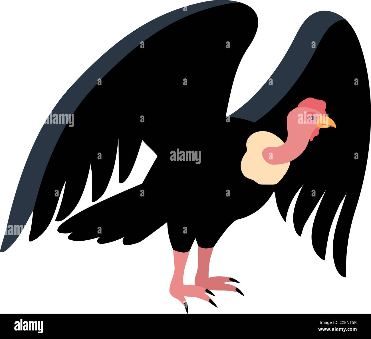 Cartoon andean condor Stock Vector Images - Alamy