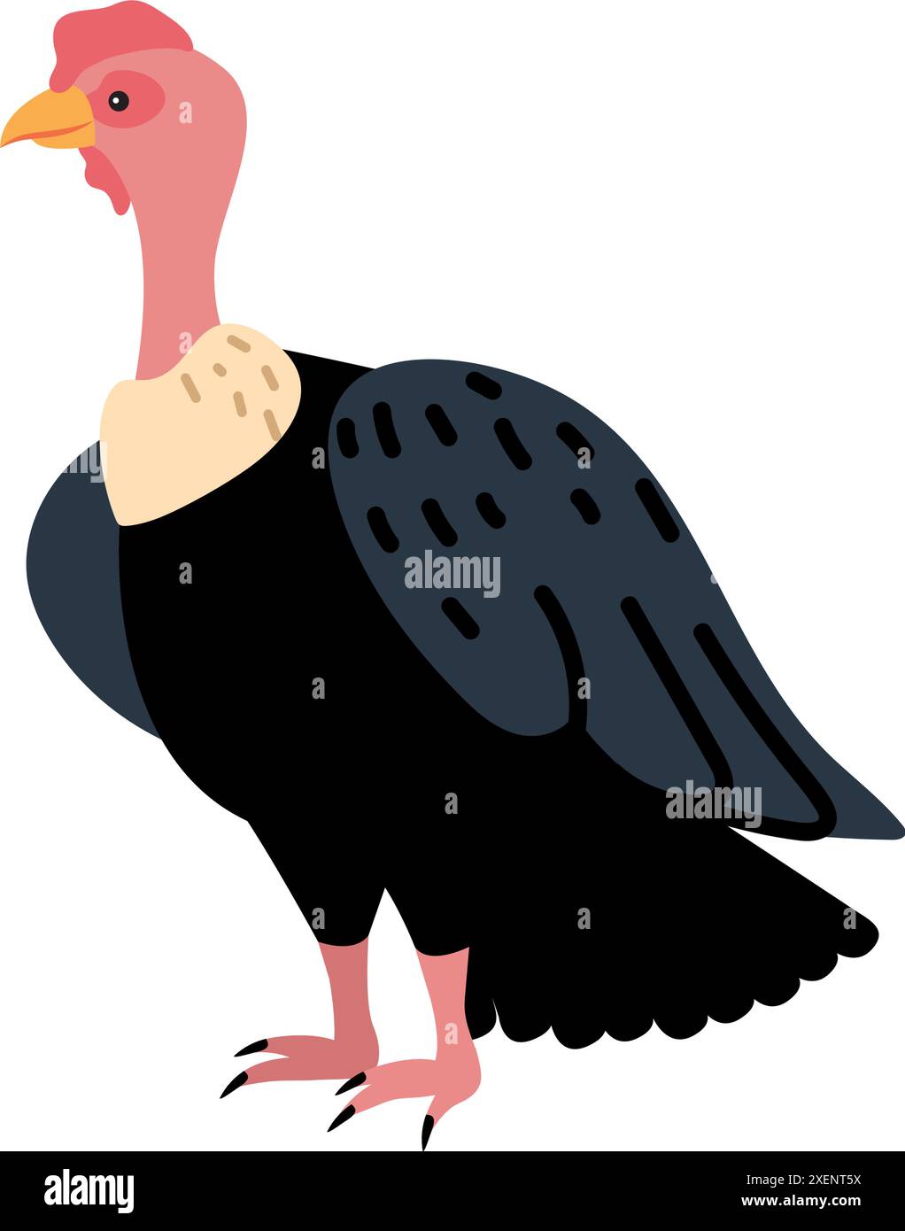 andean condor large bird species Stock Vector Image & Art - Alamy