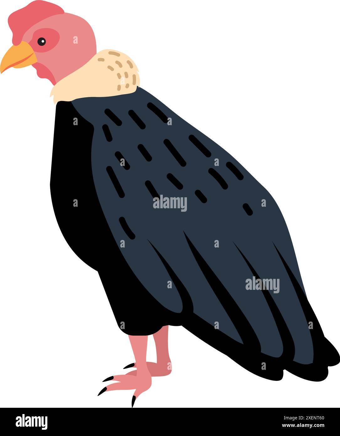andean condor bird cartoon Stock Vector Image & Art - Alamy