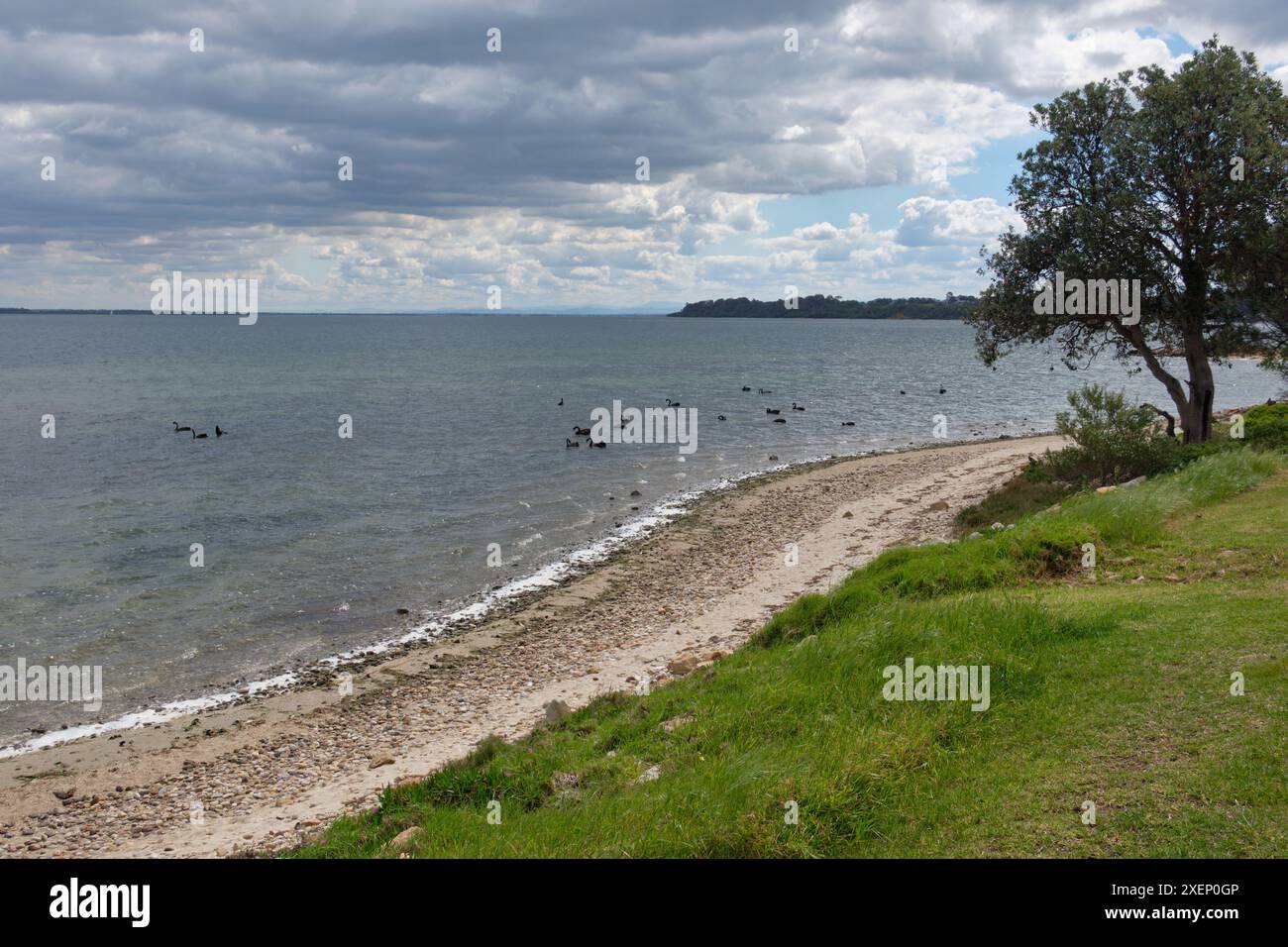 Lake King receives flowing water from the Mitchel, Tambo and Nicholson ...