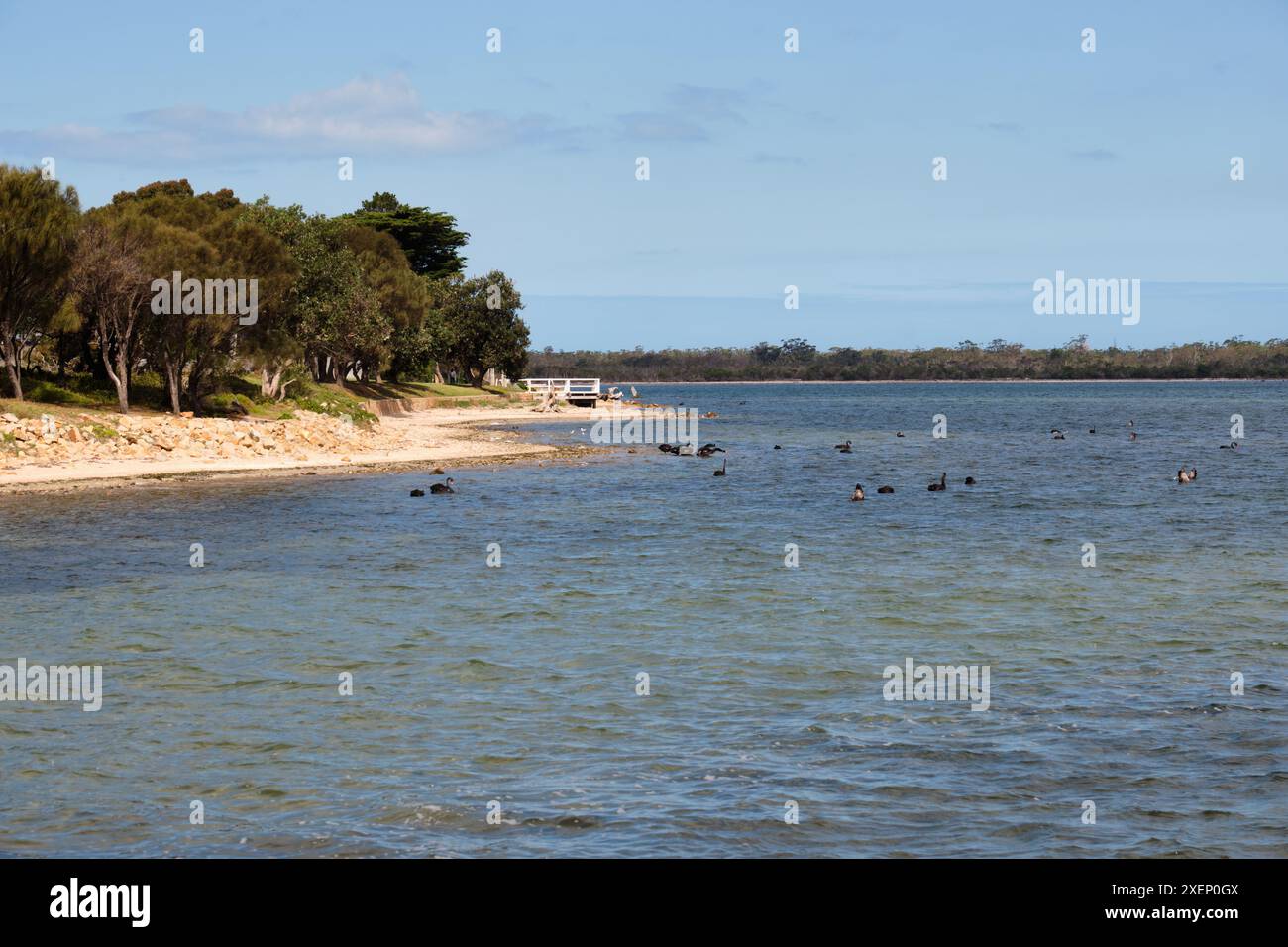 Lake King receives flowing water from the Mitchel, Tambo and Nicholson ...