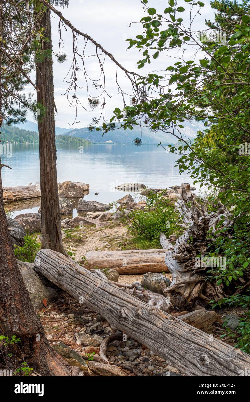 Logs, rocks, and trees line the beach at Lake Wenatchee State Park in ...
