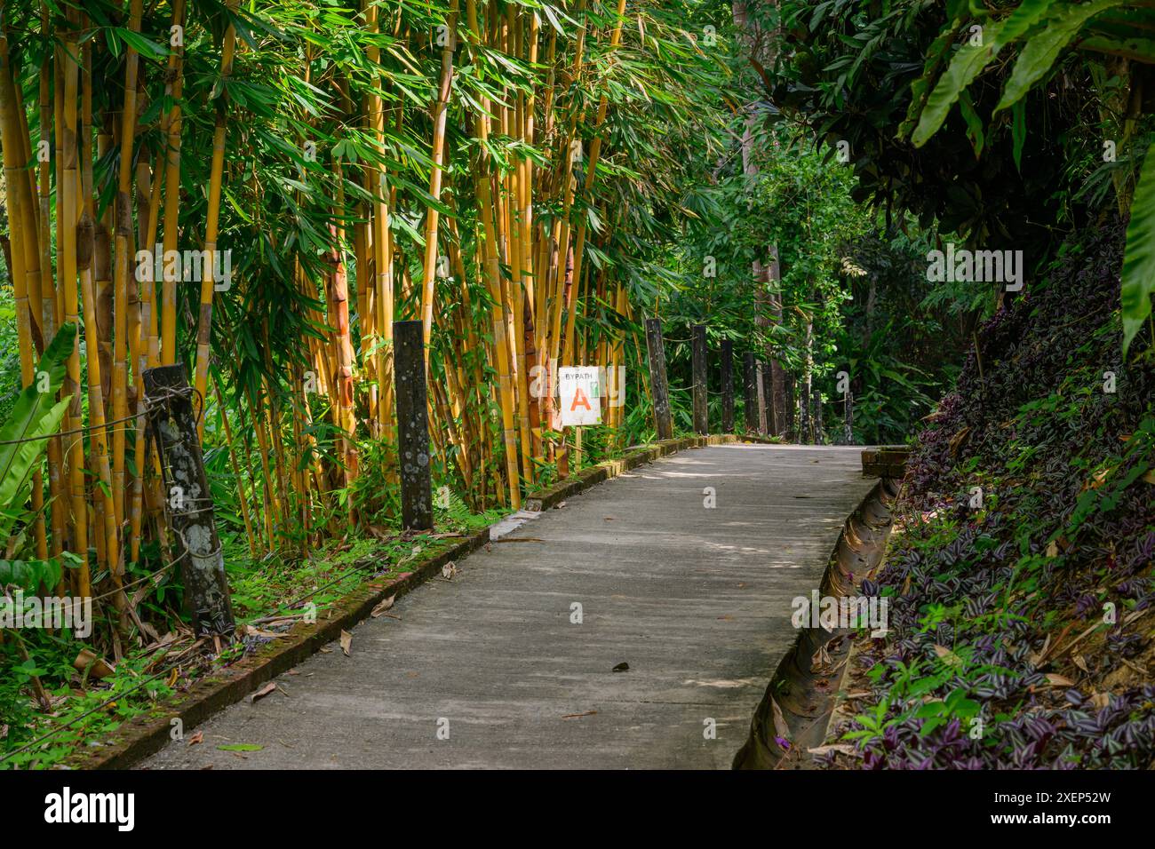 Bypath A at Penang Hill, Penang, Malaysia Stock Photo - Alamy