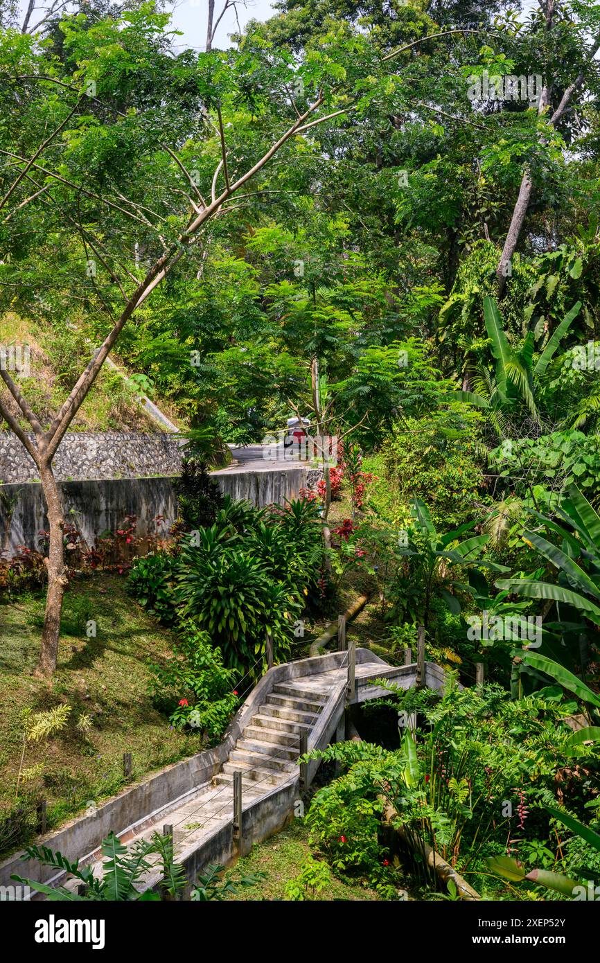 A leisure walk at Penang Hill, Penang, Malaysia Stock Photo - Alamy