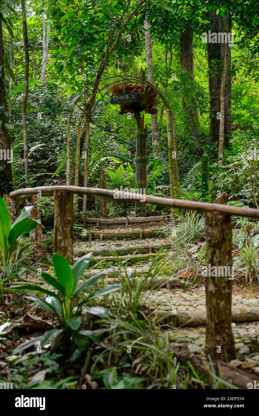 The Fern Walk at Penang Hill, Penang, Malaysia Stock Photo - Alamy