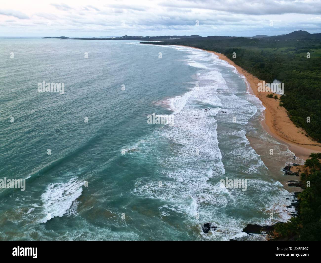 luquillo beach with ocean water, sand and palm trees (resort town in ...
