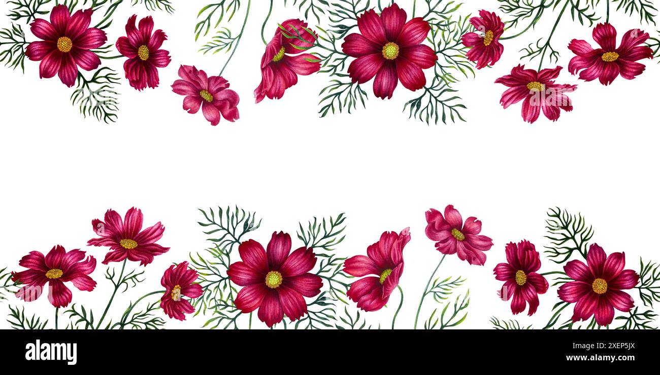 Watercolor seamless border of red and purple cosmos flowers ...