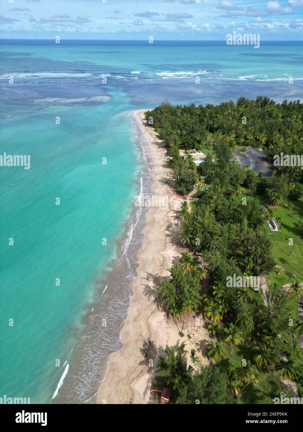 luquillo beach with ocean water, sand and palm trees (resort town in ...