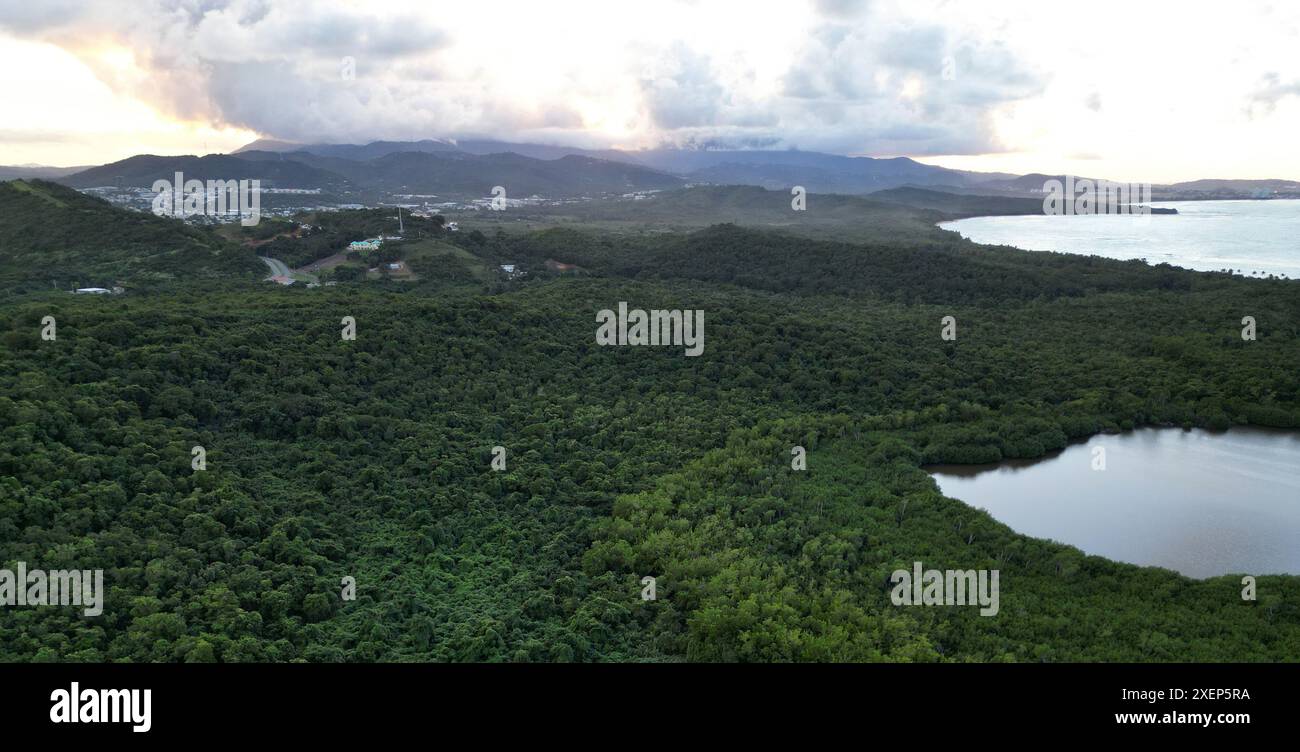laguna grande drone view (bioluminescent bay fajardo puerto rico) bio ...
