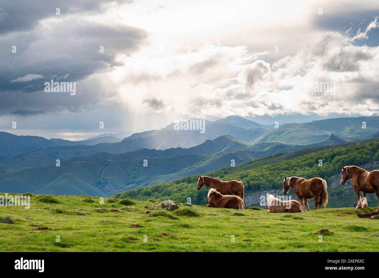 Panorama french countryside pyrenees hi-res stock photography and ...