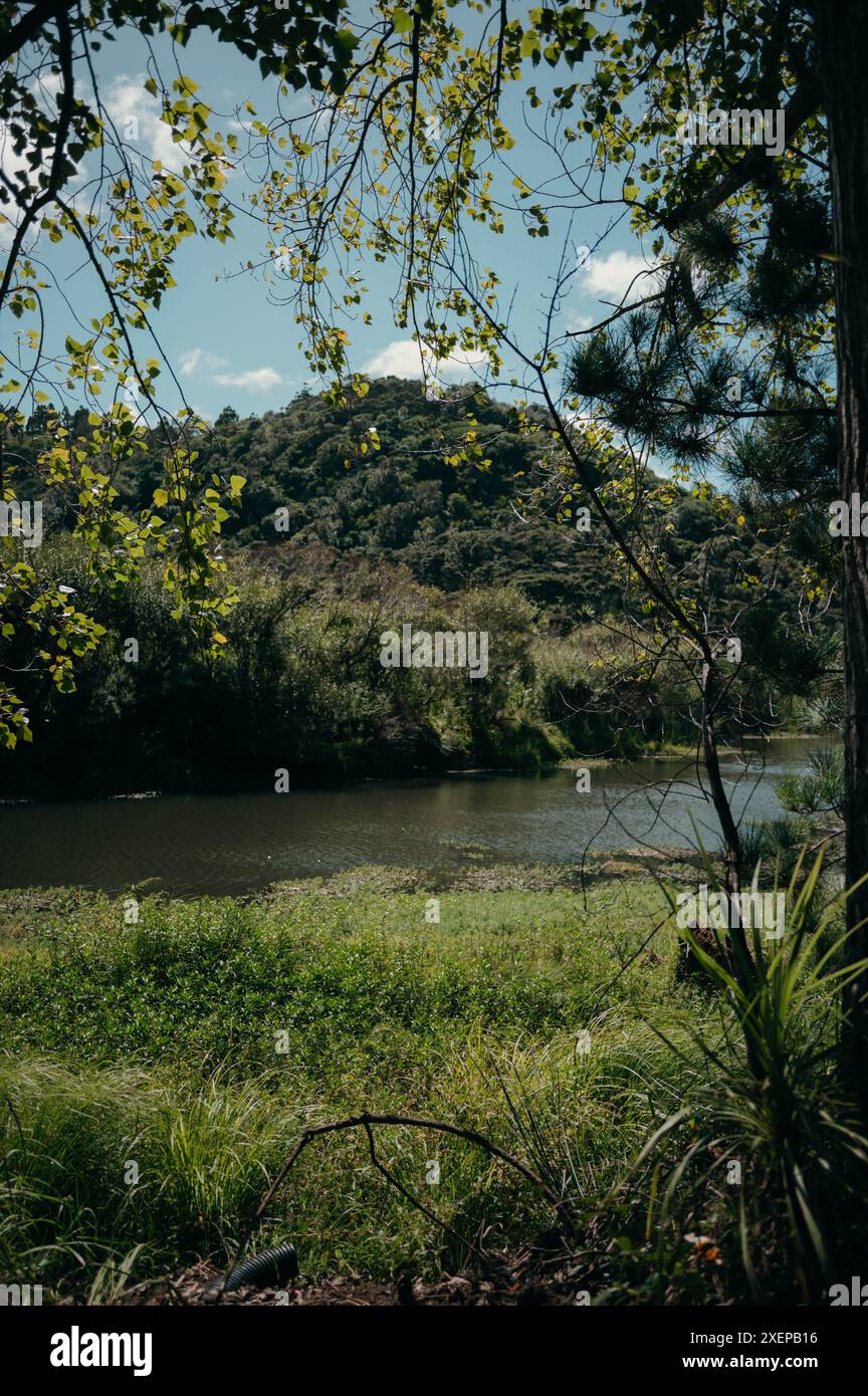 Te henga new zealand walking hi-res stock photography and images - Alamy